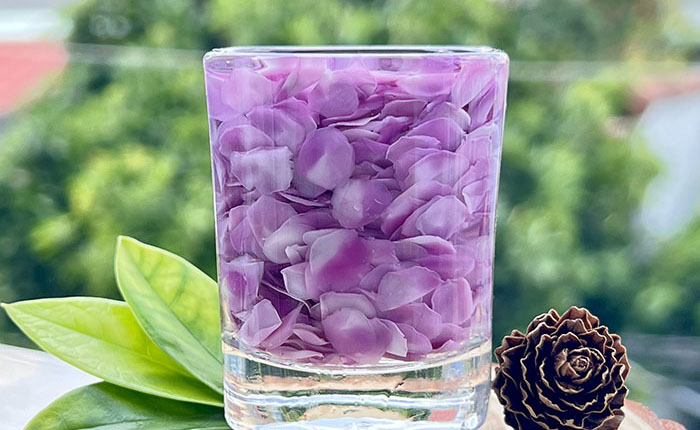 Cánh hoa Tím - Petals Purple