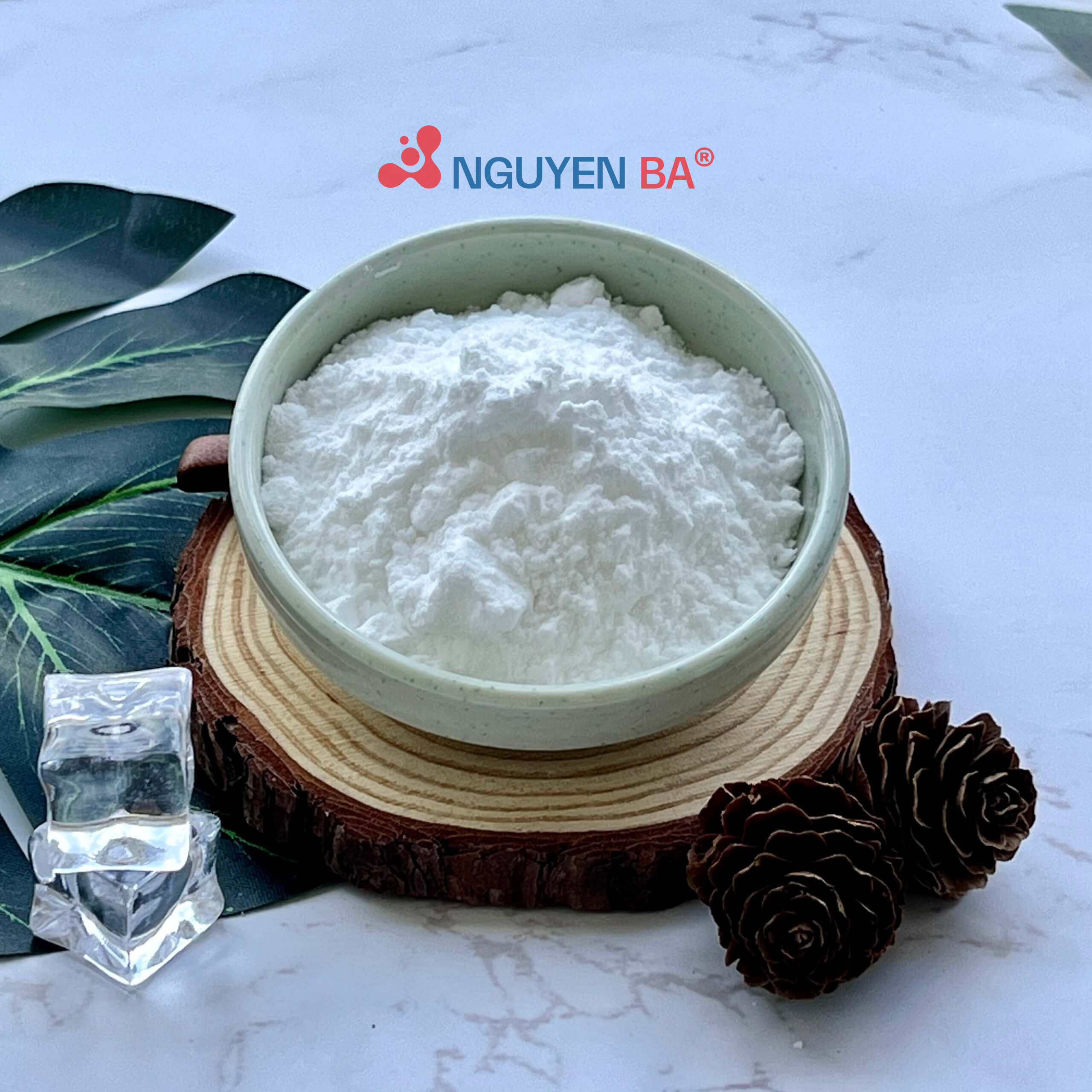 Sodium Benzoate | Công ty TNHH Sản Xuất và Thương Mại Nguyễn Bá